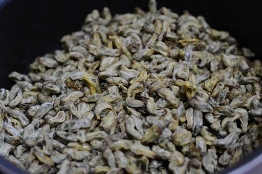 Sururu: O que é, para que serve, benefícios, receitas e como usar ...