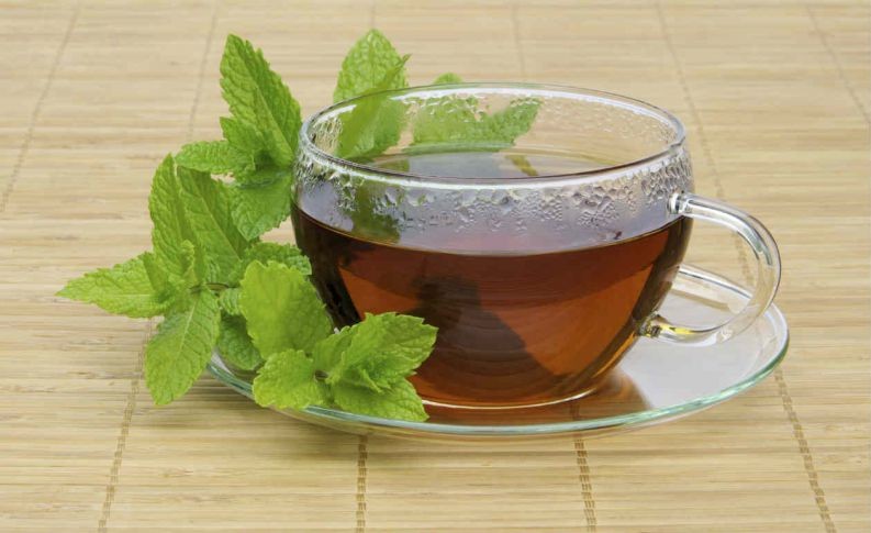 Chá de menta - para que serve, benefícios e como fazer | Dicas de Saúde