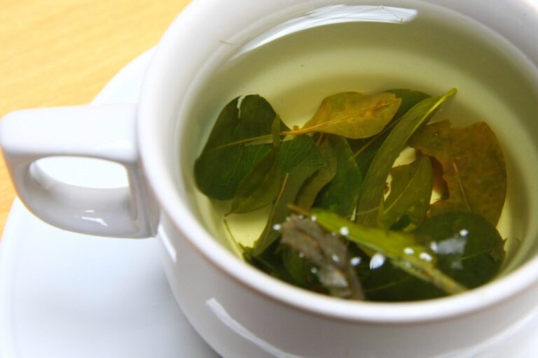 Chá de carqueja - Para que serve, benefícios e como fazer!