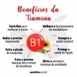 Tiamina: o que é, para que serve, benefícios, receitas, alimentos e ...