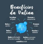 Valina: O que é, 25 benefícios, para que serve e funções