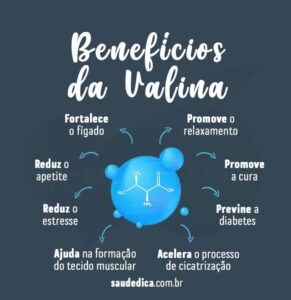 Valina: O que é, 25 benefícios, para que serve e funções