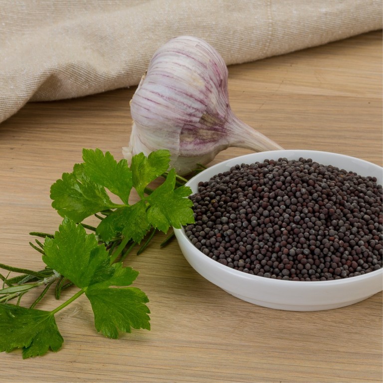 Mostarda Preta - O que é, Como Funciona e Efeitos Colaterais | Dicas de ...