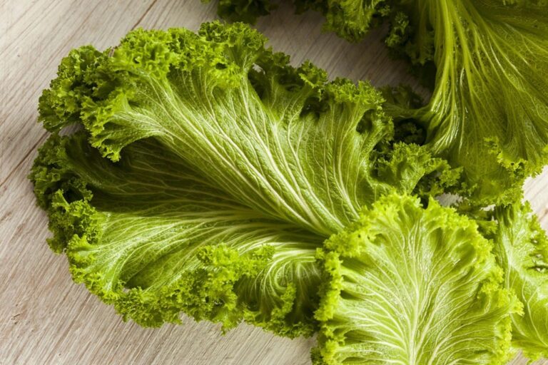 15 tipos de alface e folhas verdes mais saudáveis | Dicas de Saúde