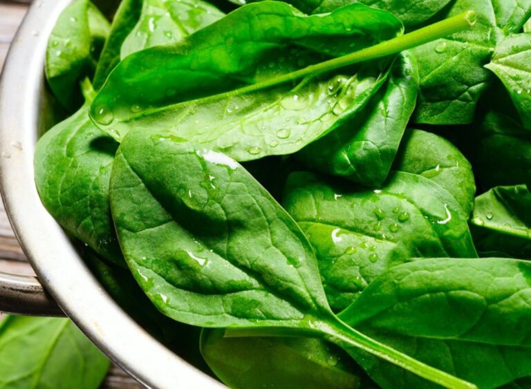 15 tipos de alface e folhas verdes mais saudáveis | Dicas de Saúde