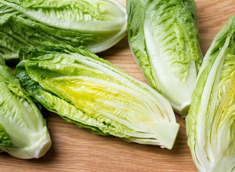 15 tipos de alface e folhas verdes mais saudáveis | Dicas de Saúde