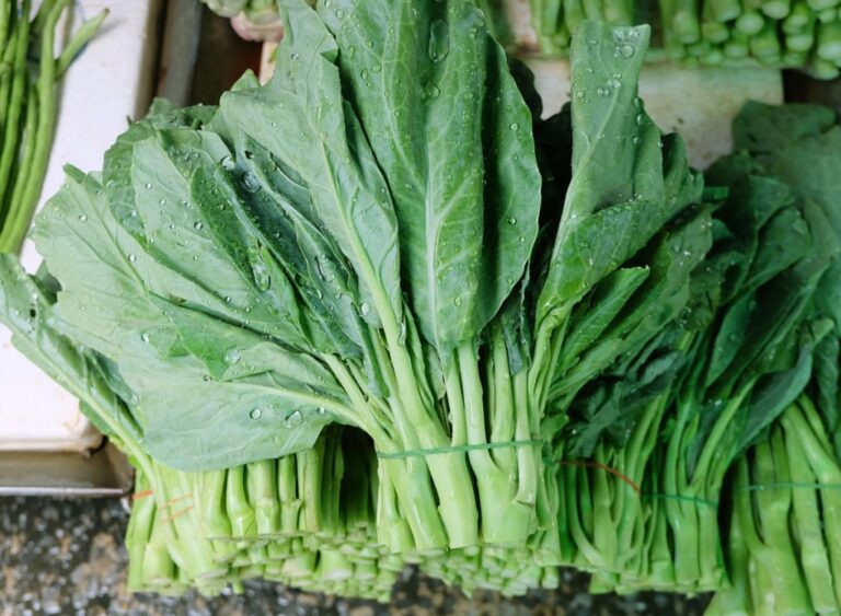 15 tipos de alface e folhas verdes mais saudáveis | Dicas de Saúde