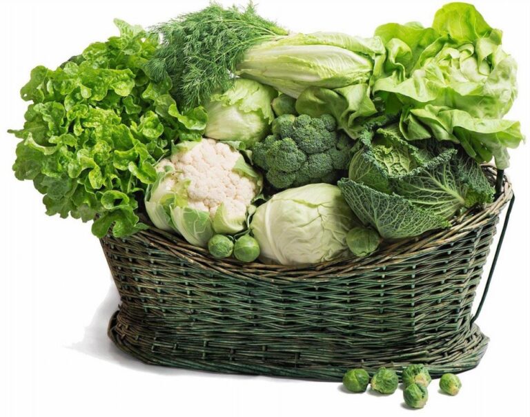 8 benefícios dos vegetais de folhas verdes escuras para saúde! | Dicas ...