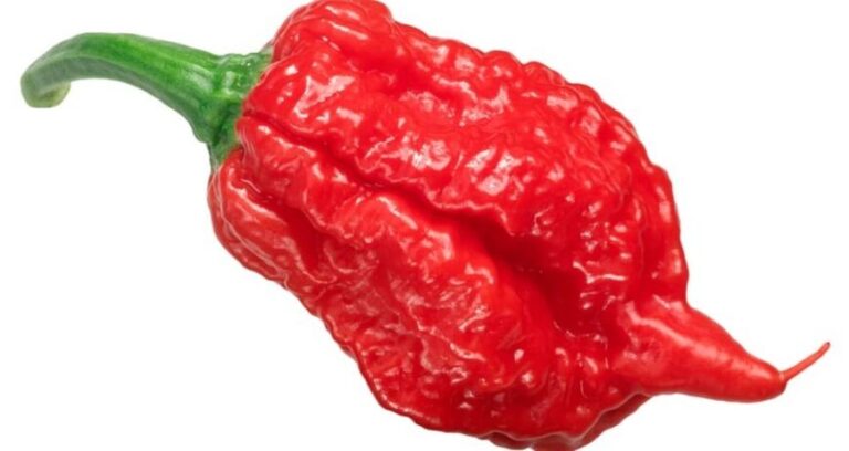 29 tipos de pimenta: características, usos, informações e muito mais ...