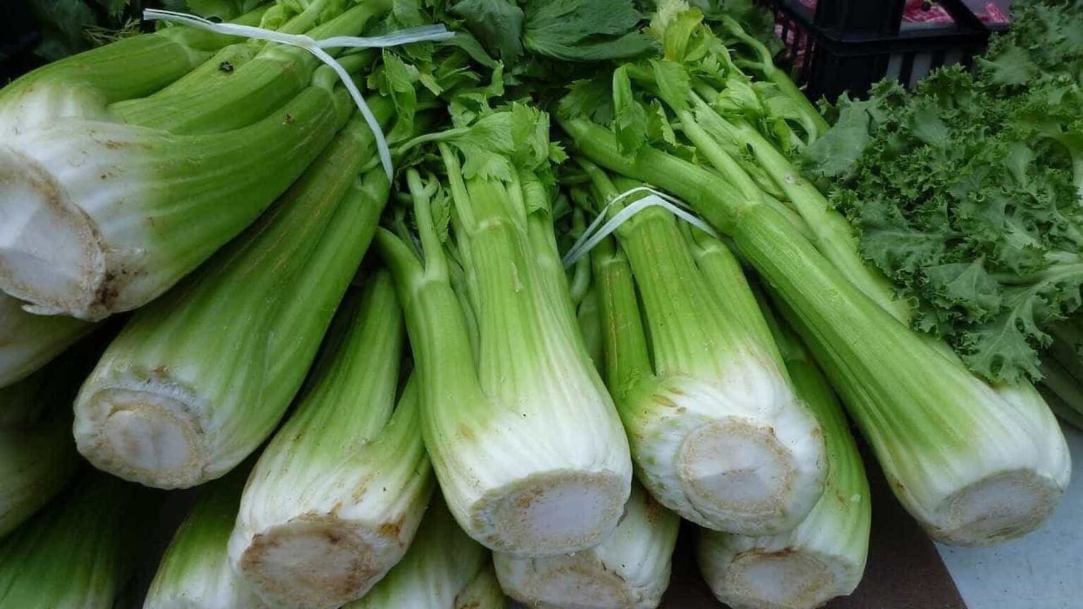 Os 13 principais tipos de Aipo: valor nutricional, características e ...