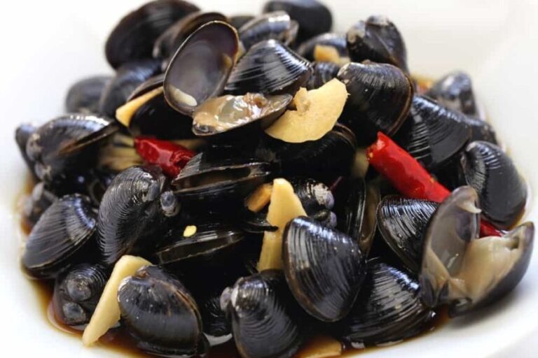 14 tipos de amêijoas: o que é, características, informações e muito ...