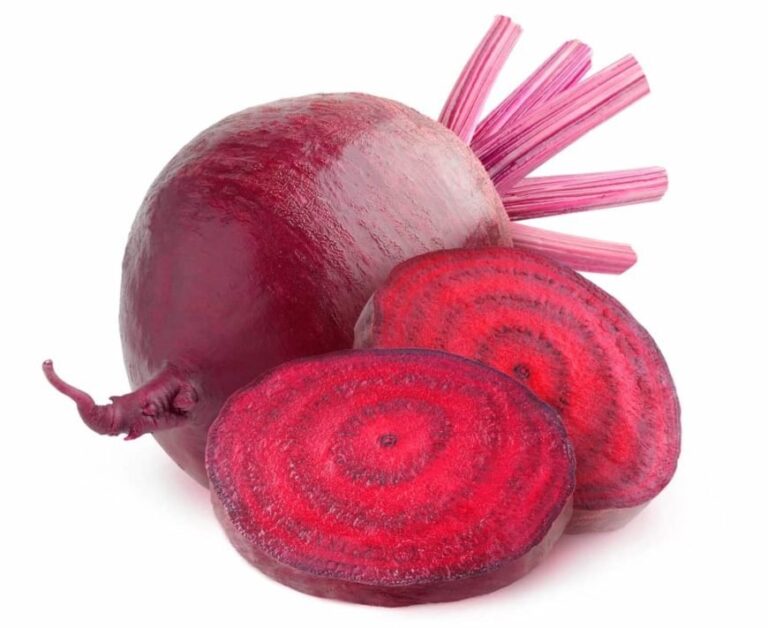 Tipos de beterraba: 10 variedades, características, informações e muito ...