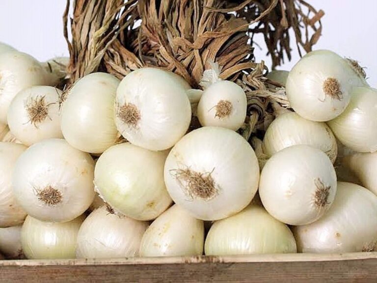 26 tipos de cebola: o que é, valor nutricional, características e usos ...