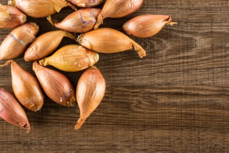 6 tipos de chalota: o que é, características, usos e informações