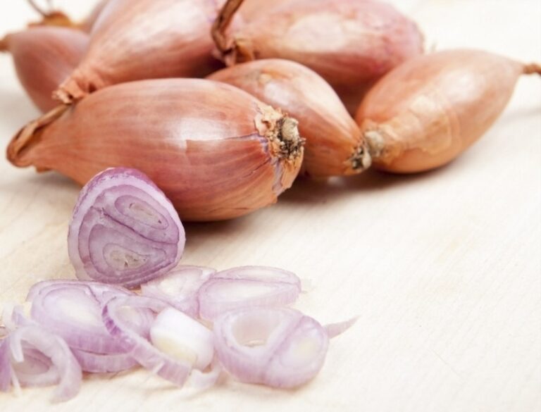 6 tipos de chalota: o que é, características, usos e informações