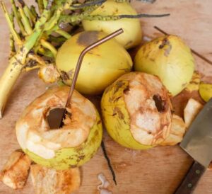 Tipos de coco: 13 variedades, características, informações e muito mais ...