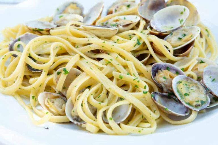 25 tipos de macarrão: características, informações e muito mais | Dicas ...