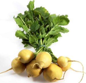 18 tipos de nabo: características, usos, informações e muito mais