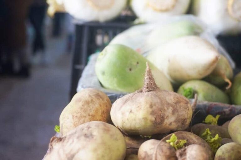 18 tipos de nabo: características, usos, informações e muito mais