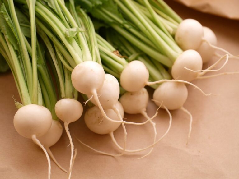 18 tipos de nabo: características, usos, informações e muito mais