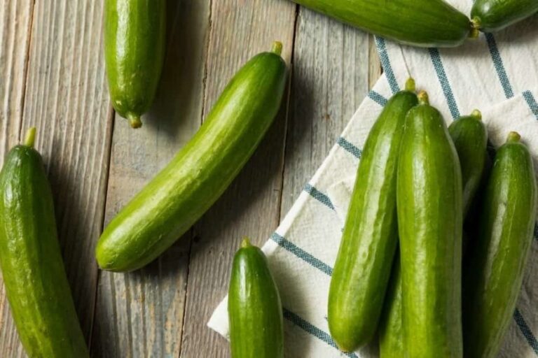 22 tipos diferentes de pepinos | Dicas de Saúde
