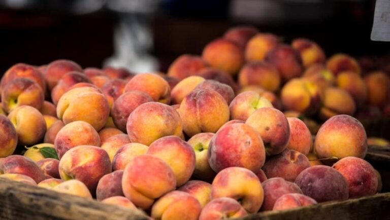 34 tipos de pêssego: variedades, benefícios e propriedades
