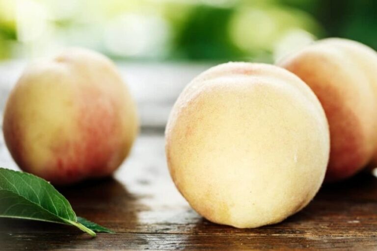 34 tipos de pêssego: variedades, benefícios e propriedades