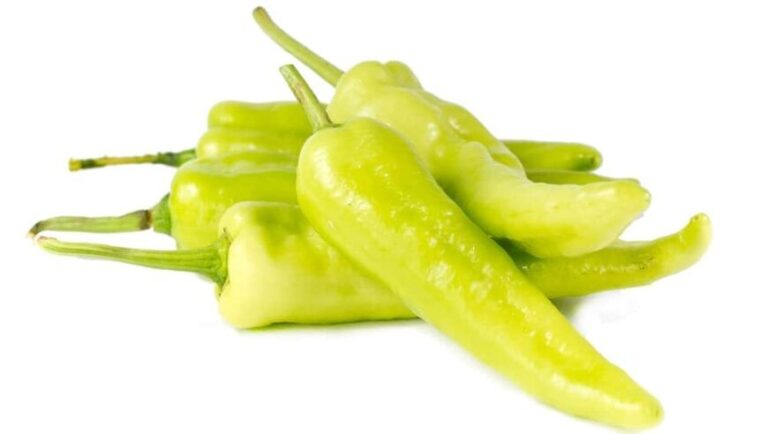 29 tipos de pimenta: características, usos, informações e muito mais ...