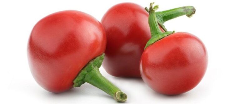 29 tipos de pimenta: características, usos, informações e muito mais ...