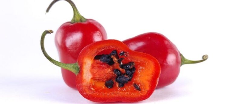 29 tipos de pimenta: características, usos, informações e muito mais ...