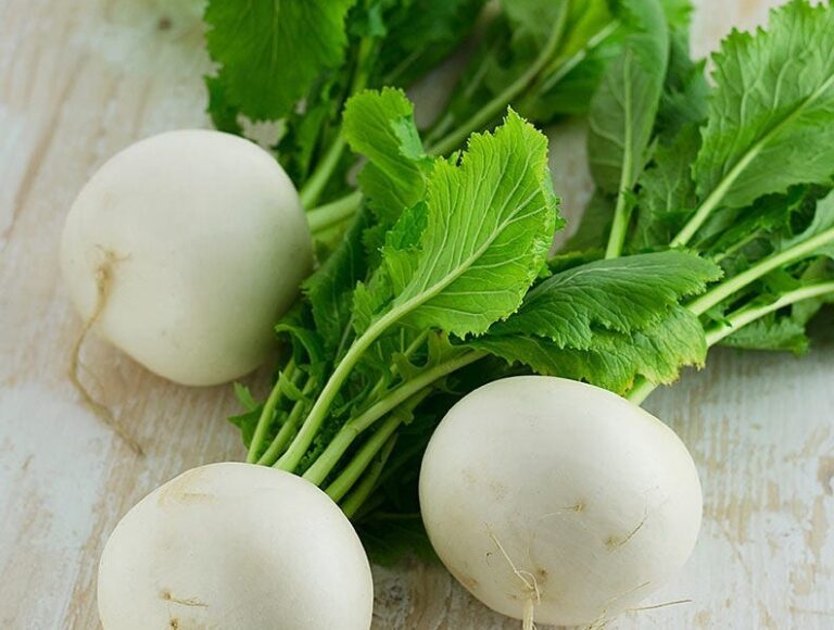 34 Tipos de Rabanete: Características, Informações e muito mais