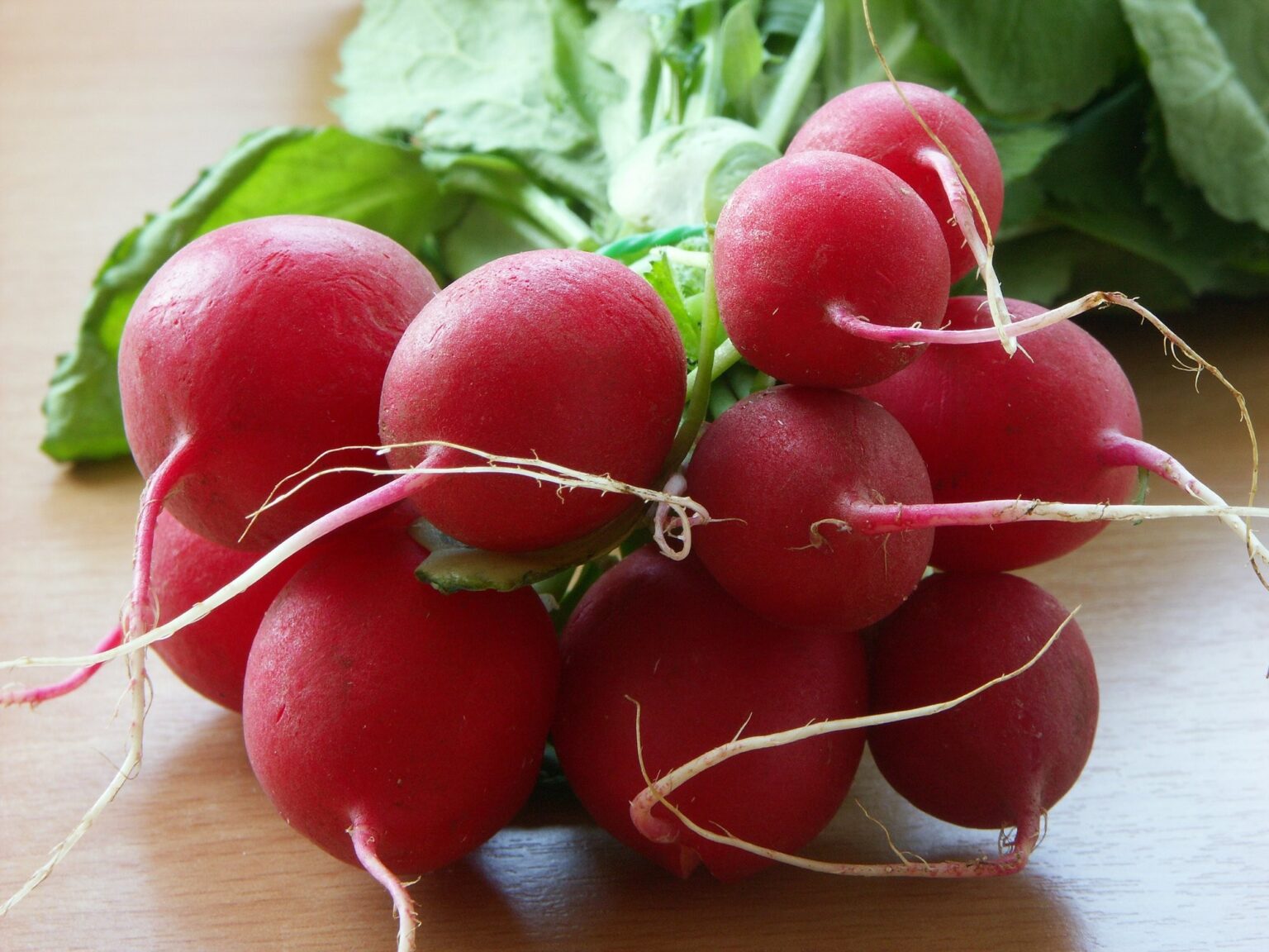 34 Tipos de Rabanete: Características, Informações e muito mais