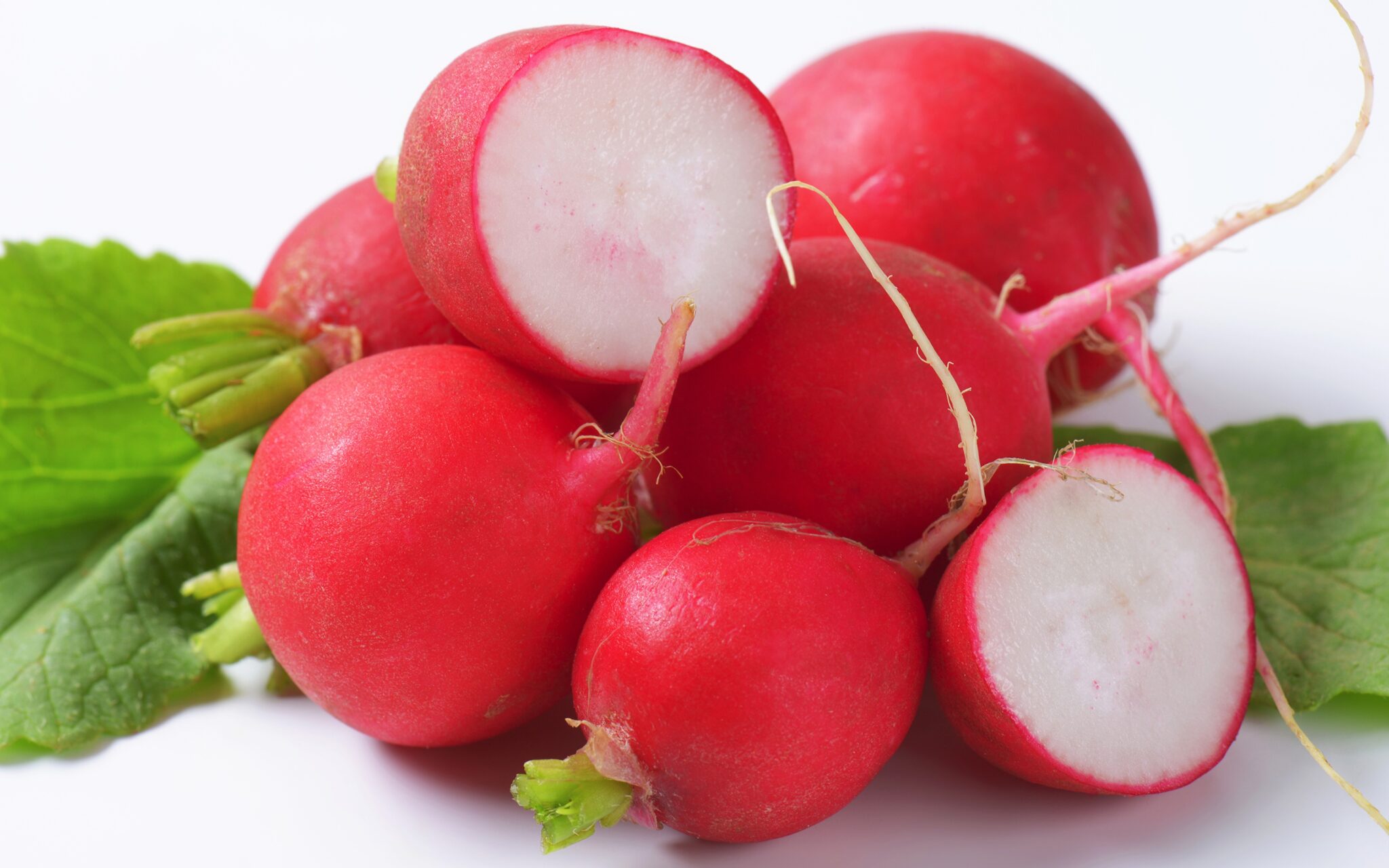 34 Tipos de Rabanete: Características, Informações e muito mais