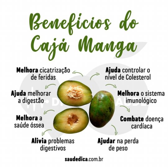 Cajá-Manga faz bem para imunidade, o coração, TPM: veja os seus ...