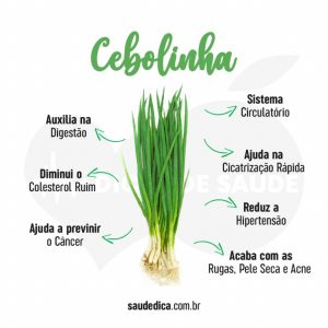 Cebolinha: Para que serve, valor nutricional, benefícios, malefícios e ...
